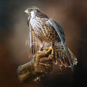 Rampling Art – David Rampling | Falconer & Artist