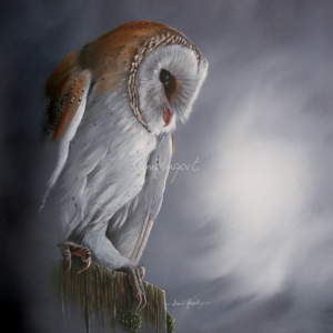 Old Barn Owl – Rampling Art