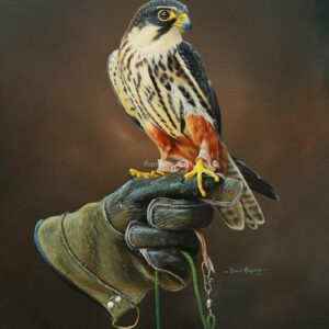 Rampling Art – David Rampling | Falconer & Artist