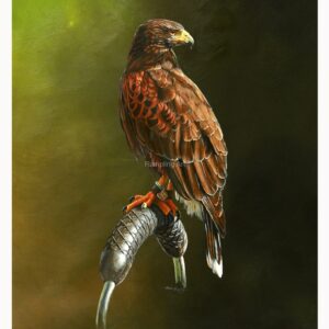 Rampling Art – David Rampling | Falconer & Artist