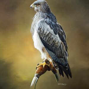 Rampling Art – David Rampling | Falconer & Artist